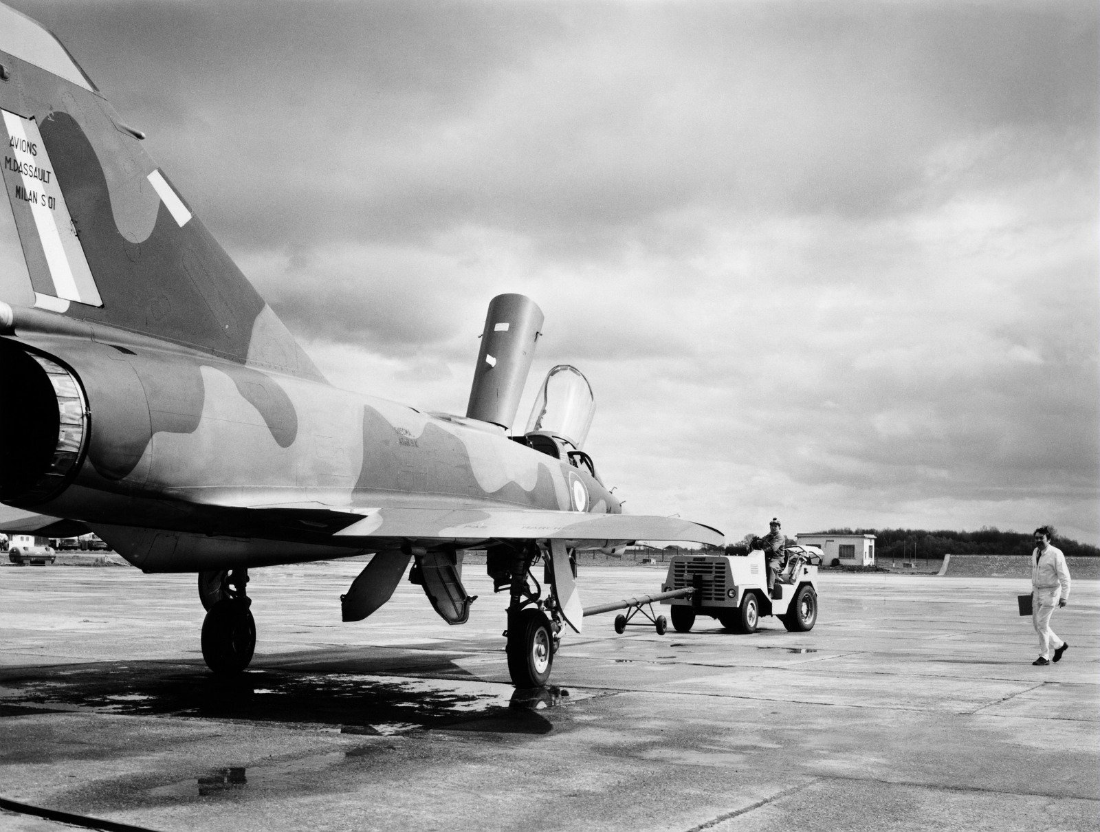 Milan : origines, caractéristiques et performances