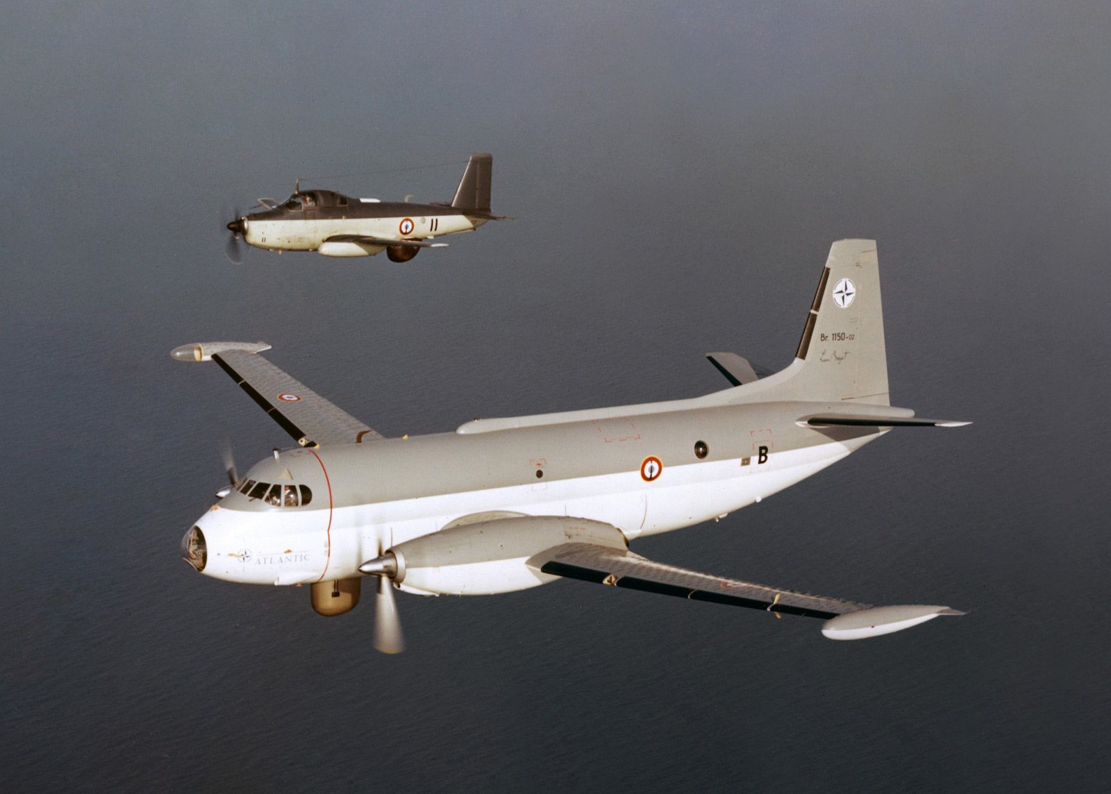 Atlantic: origins, characteristics and performance data